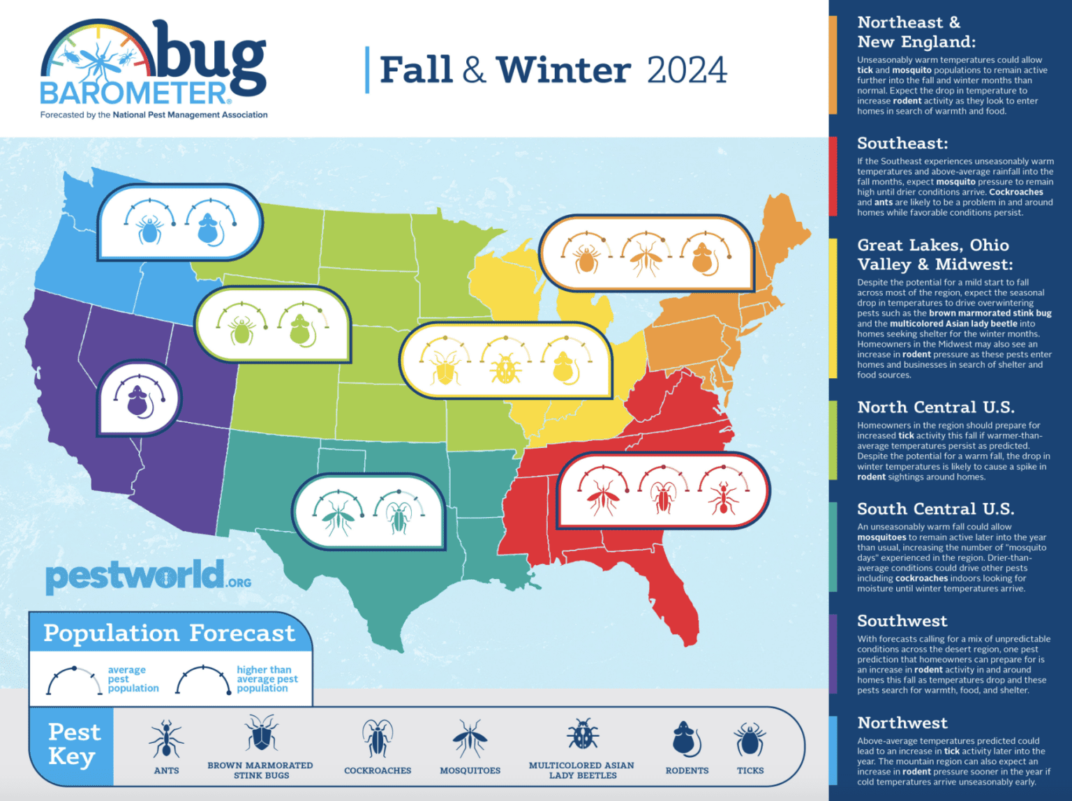 Understanding Whitetail Deer Diet & Feeding Patterns | ohDEER