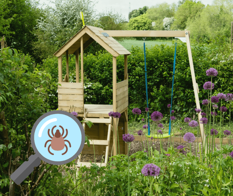 Understanding Whitetail Deer Diet & Feeding Patterns | ohDEER